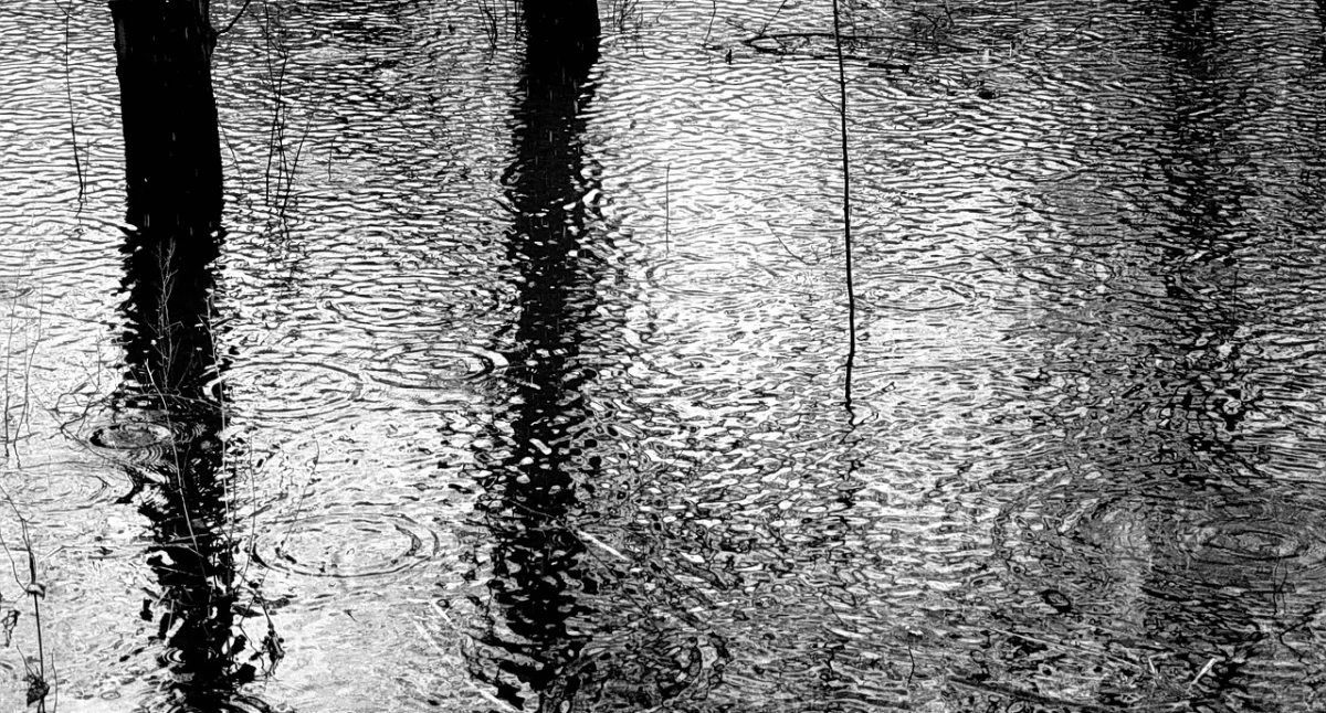 Wysokie stany rzek - wiadomości POWIAT TRZEBNICKI